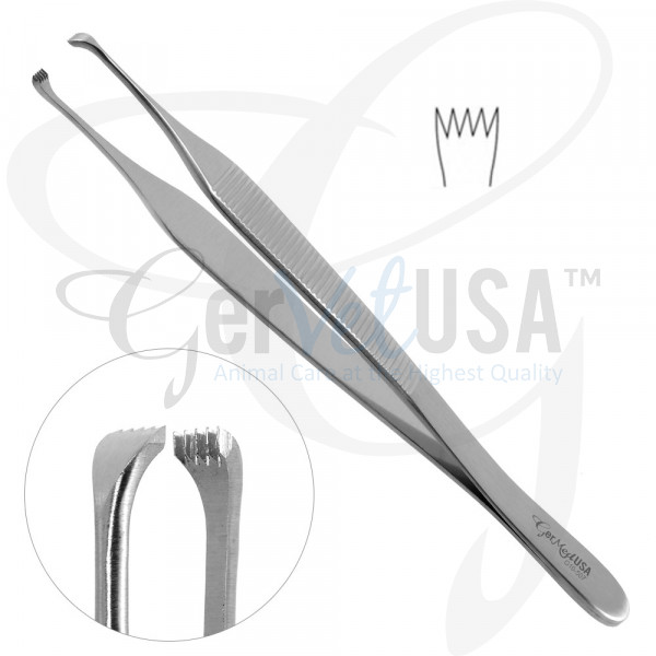 Beasley Babcock Tissue Forceps Cross Points 4 34 Gervetusa Inc