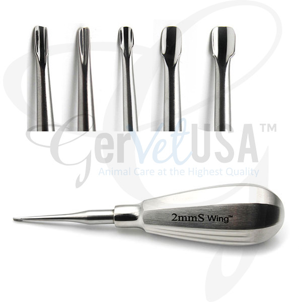 Winged Dental Elevator at Michael Gates blog