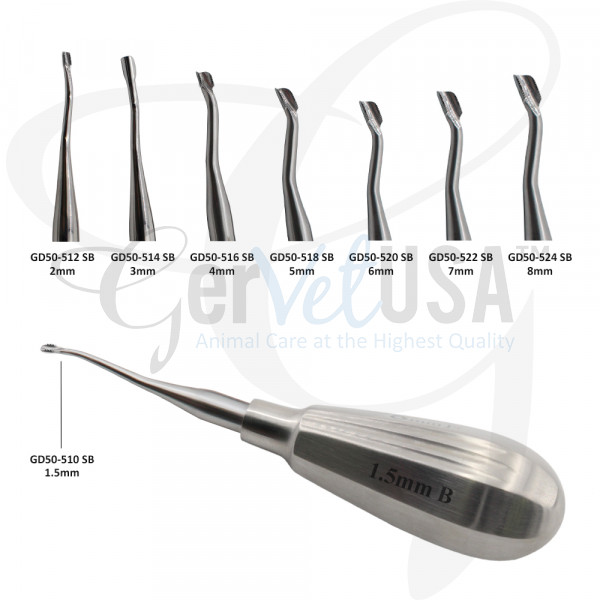 Winged Dental Elevator at Michael Gates blog